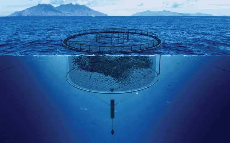 Innovasea launches easy-to-operate submersible fish pen | The Fish Site