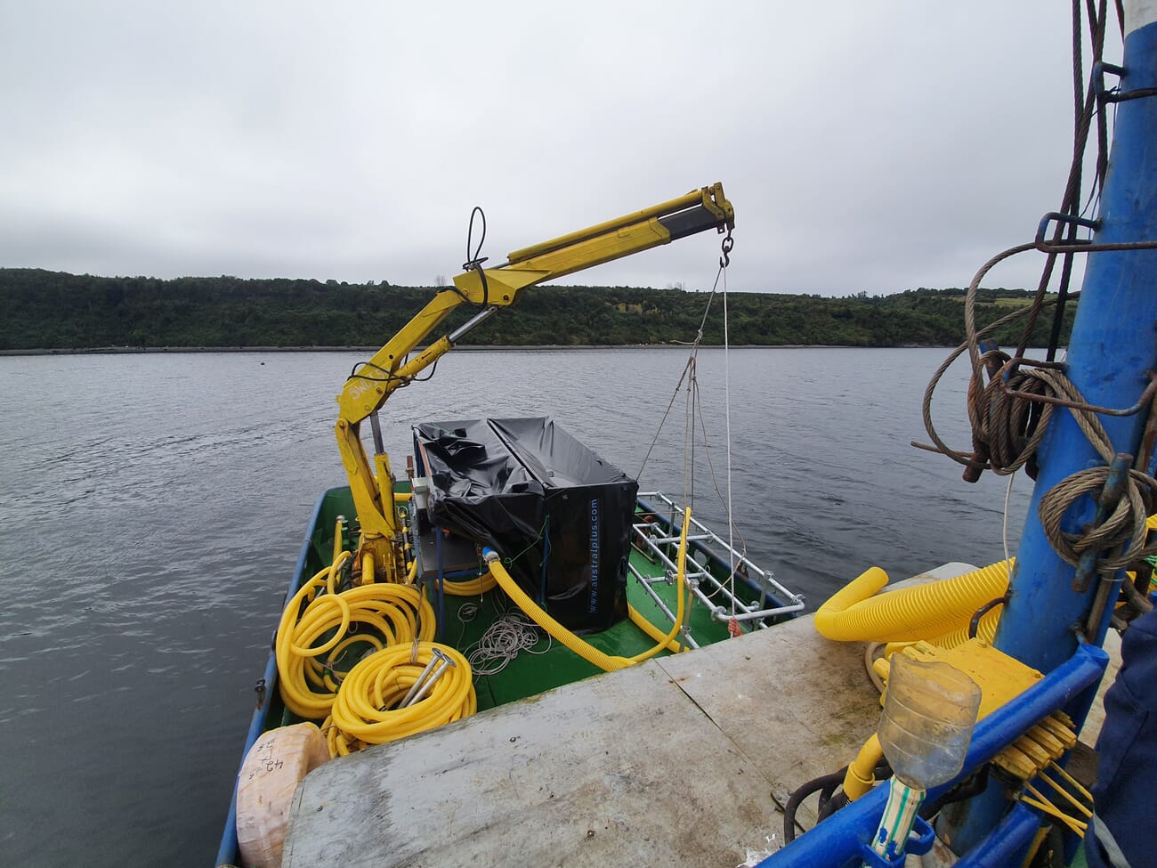 A breath of fresh air: how nanobubbles can make aquaculture more ...