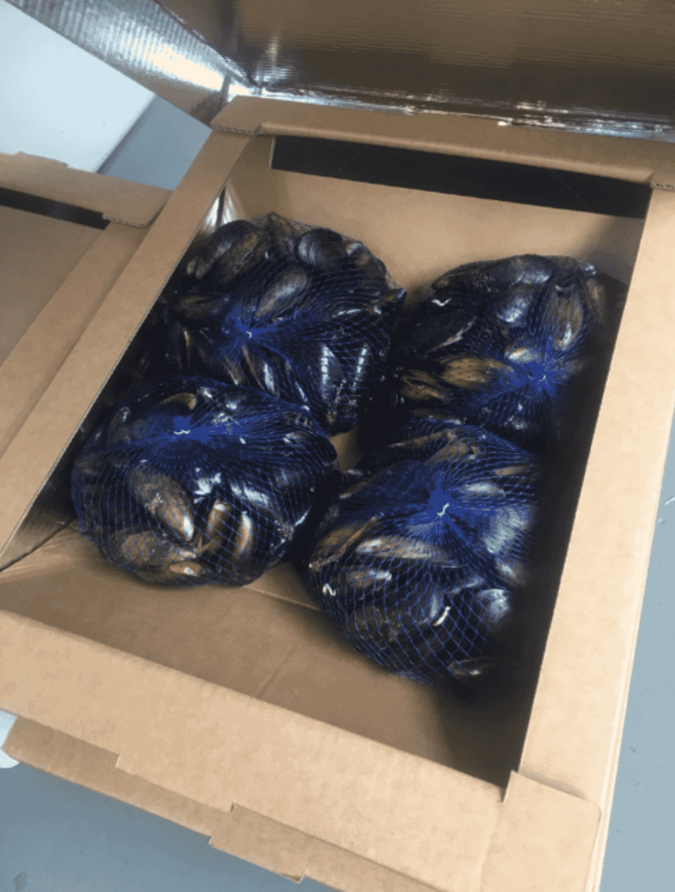 Recognition for novel sustainable seafood packaging | The Fish Site