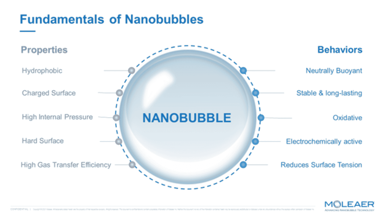 A breath of fresh air: how nanobubbles can make aquaculture more ...