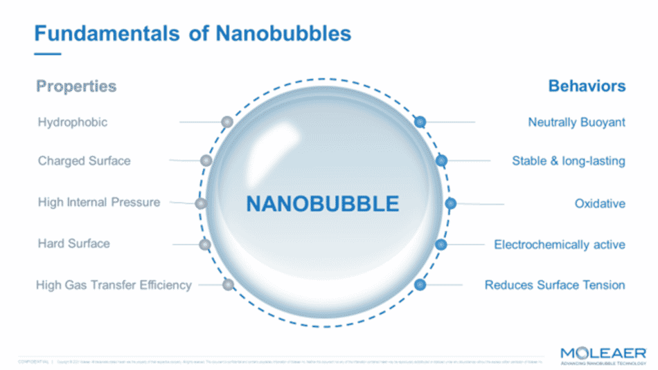 A breath of fresh air: how nanobubbles can make aquaculture more ...