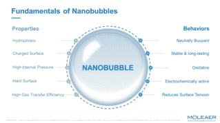 A breath of fresh air: how nanobubbles can make aquaculture more ...