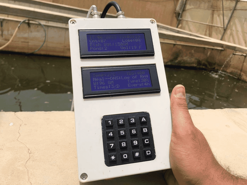 The startup seeking to improve feed efficiency in Egypt’s tilapia ...