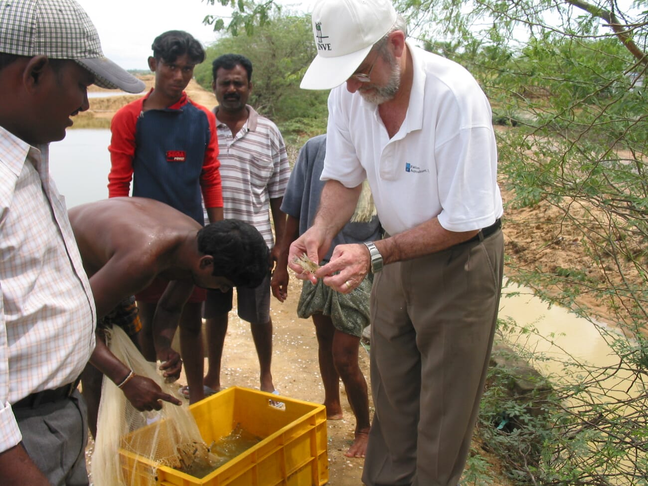 The godfather of shrimp probiotics | The Fish Site