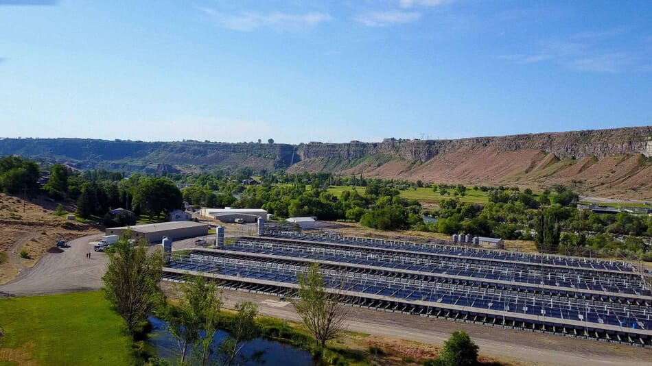 Riverence teams up with sustainable soy producer | The Fish Site