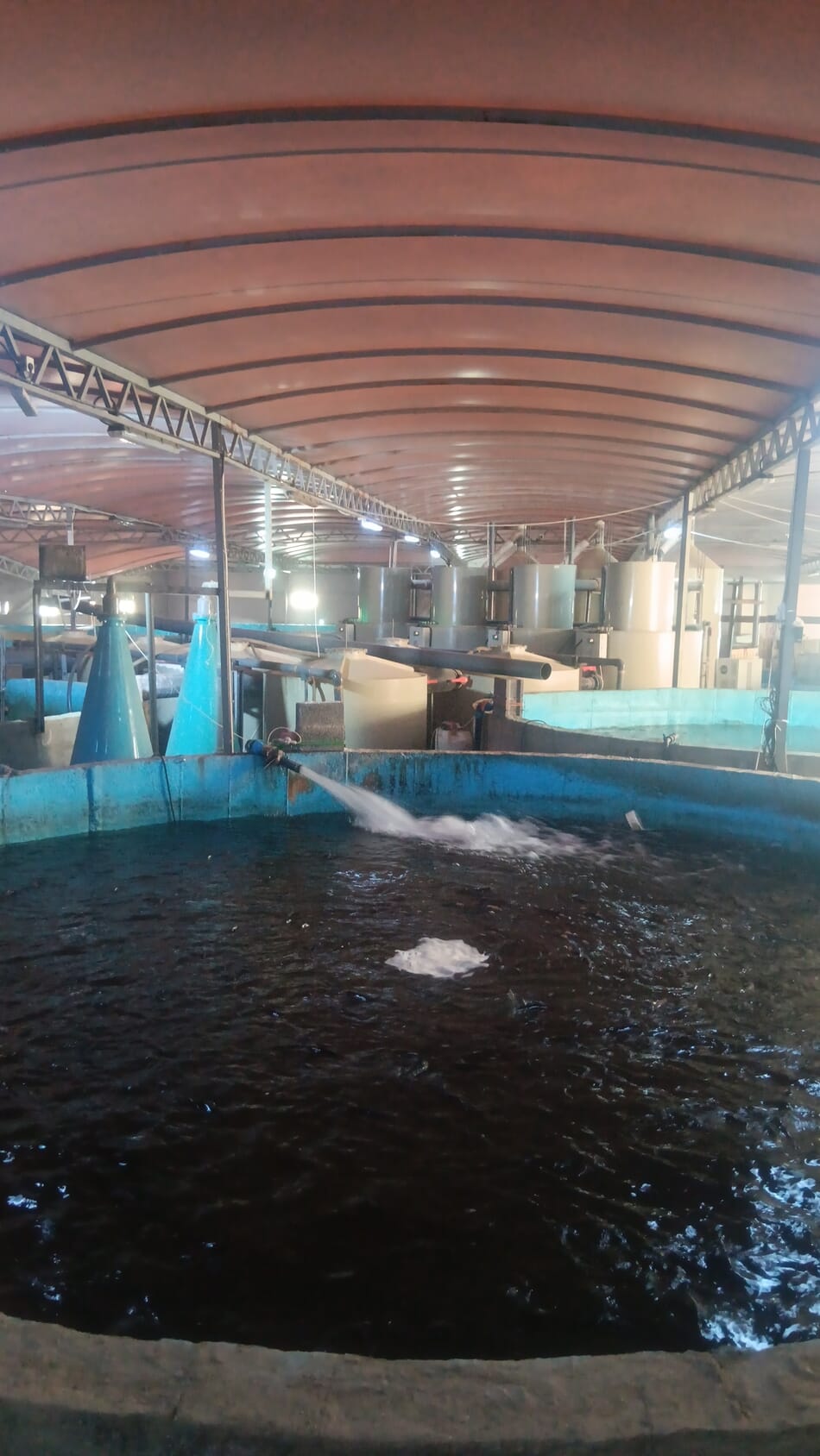 Developing a 5,000 tonne trout farm in Saudi Arabia | The Fish Site