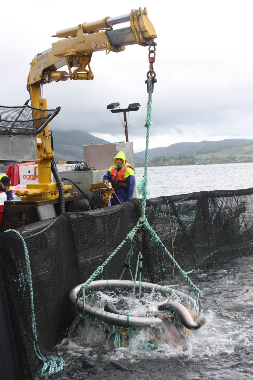 Trout farming’s marathon man | The Fish Site