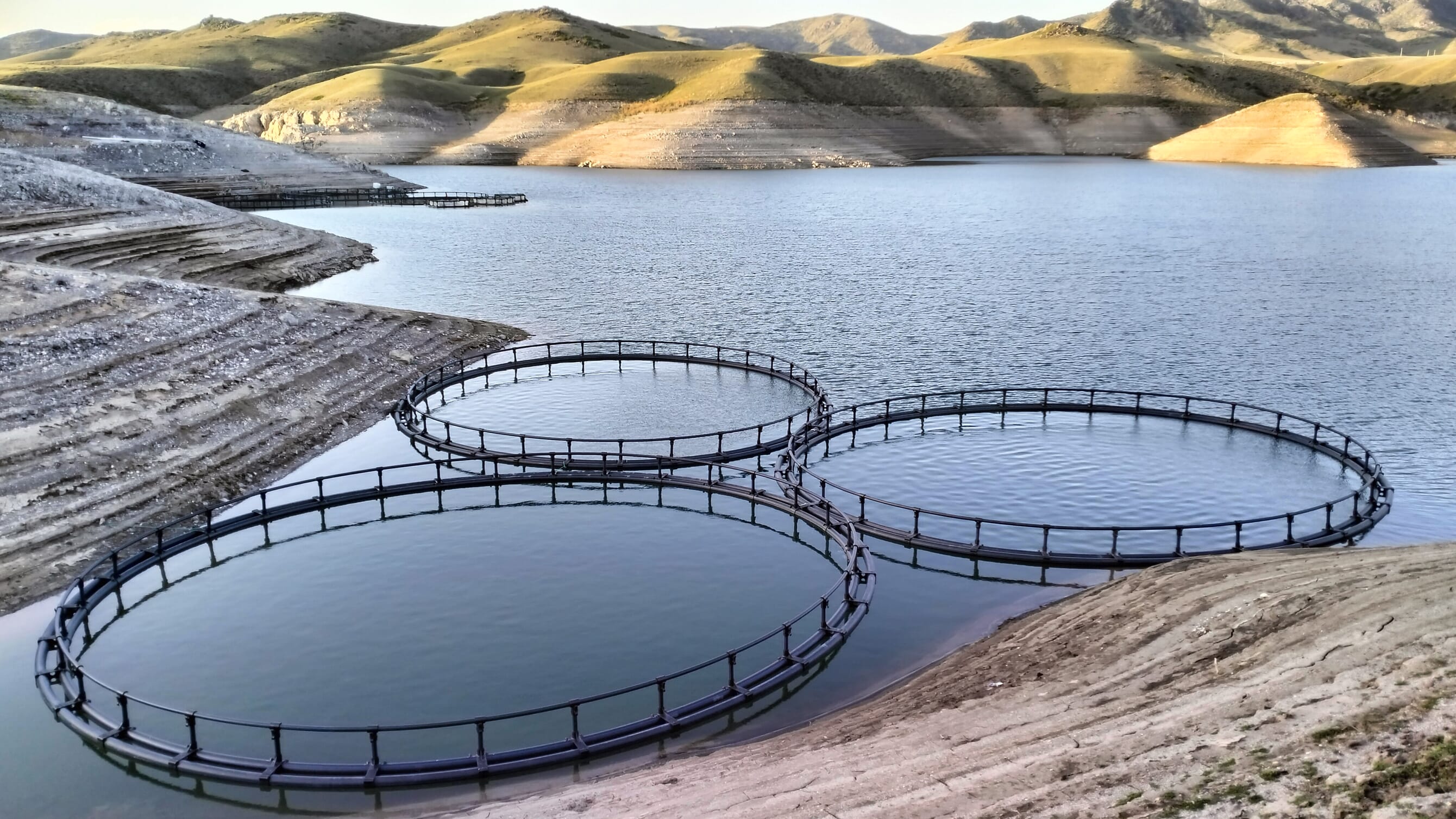 High hopes for Kazakhstan’s high altitude fish farms | The Fish Site