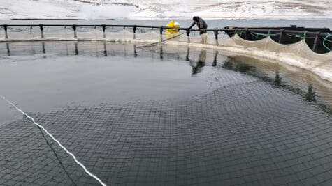 High hopes for Kazakhstan’s high altitude fish farms | The Fish Site