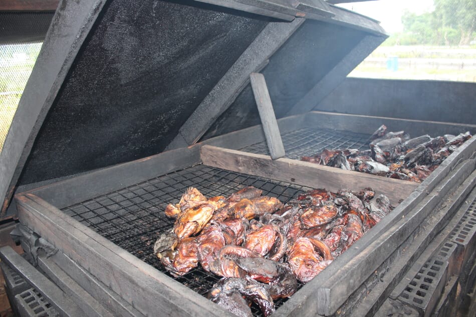 Oven-ready aquaculture | The Fish Site