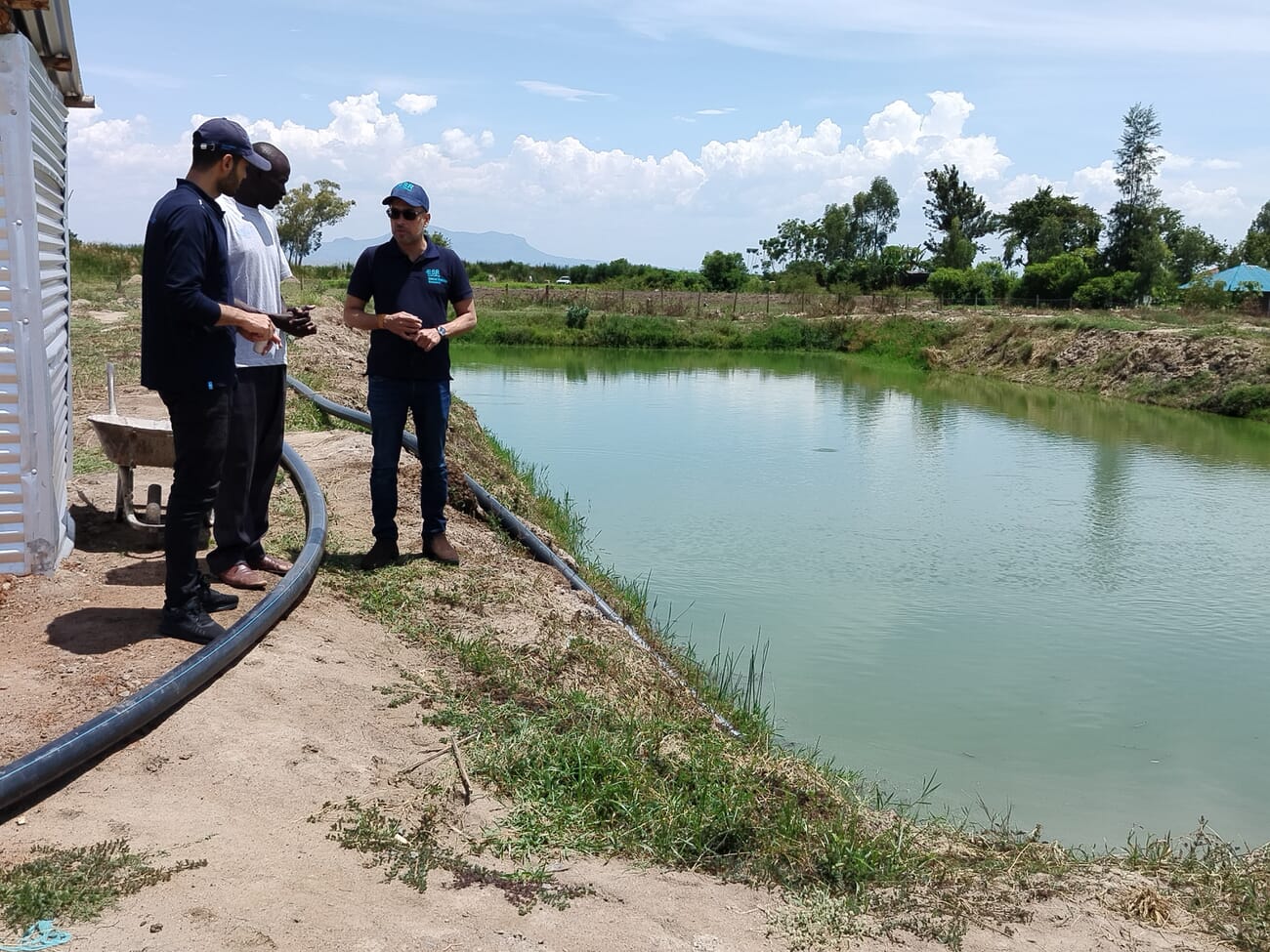 Tilapia Welfare App launches in Kenya | The Fish Site