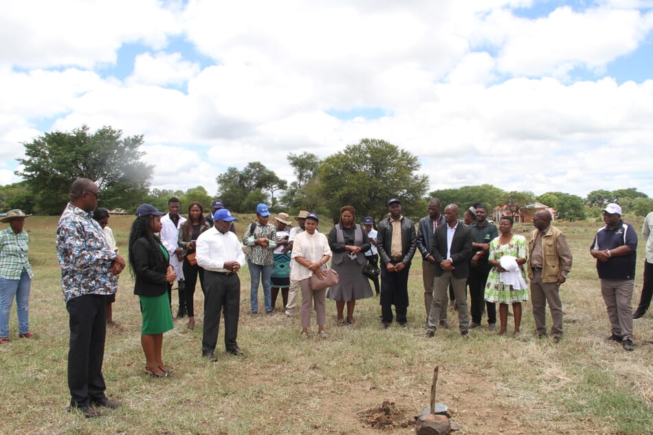 FAO funds tilapia hatchery project in Zimbabwe | The Fish Site