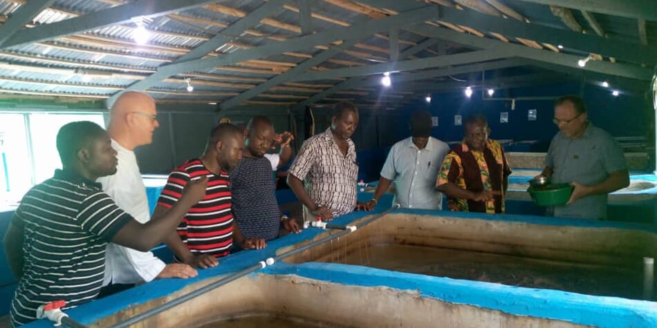 Ghana’s farmers look to expand tilapia market | The Fish Site