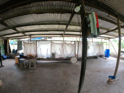 An experimental approach to catfish and tilapia production in Ghana ...