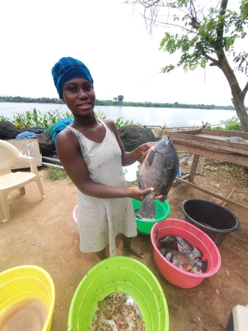 Ghana's catfish and tilapia farmers vie for supremacy | The Fish Site
