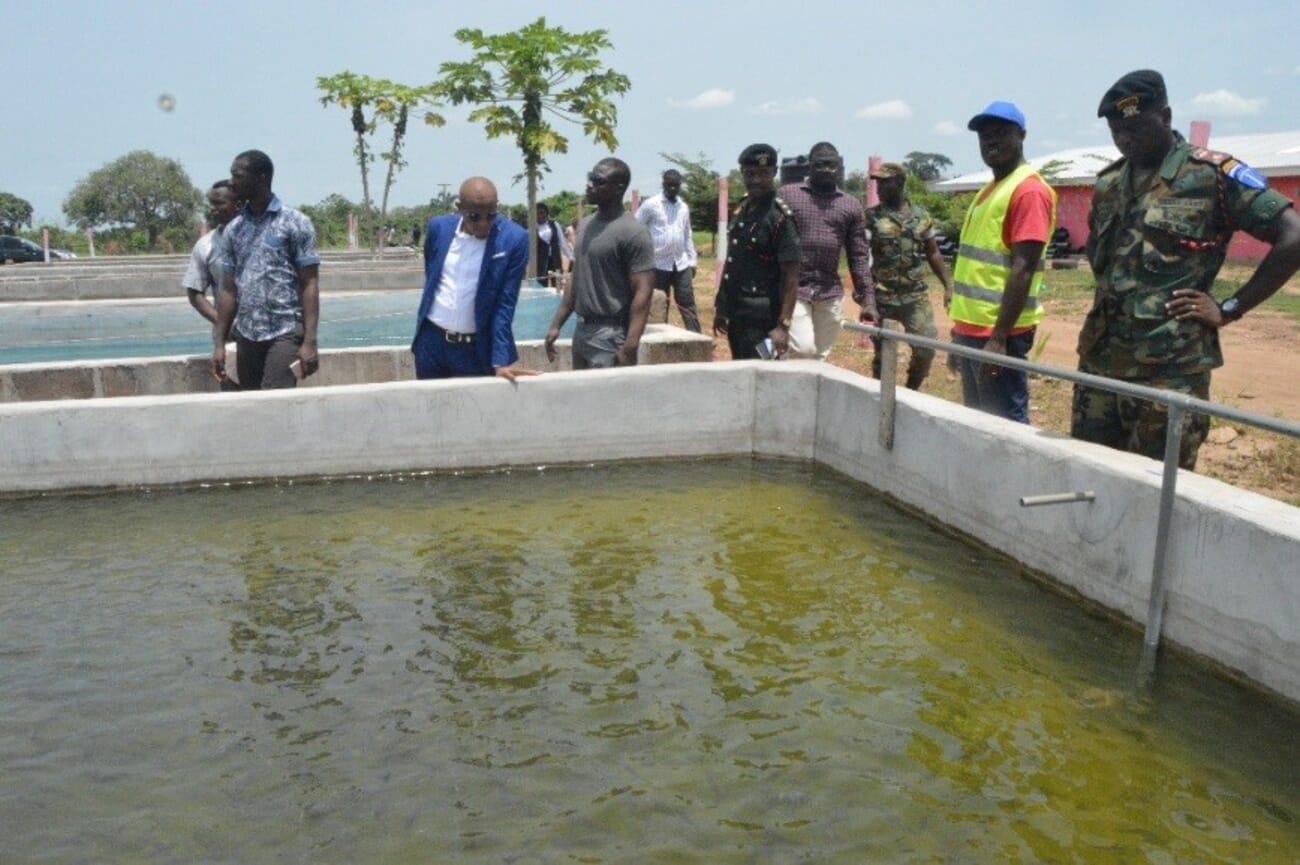 From armed forces to farmed forces | The Fish Site