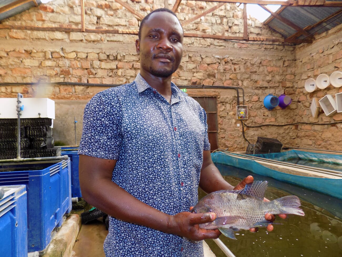 Kamuthanga: East Africa’s first Eco Mark fish farm | The Fish Site
