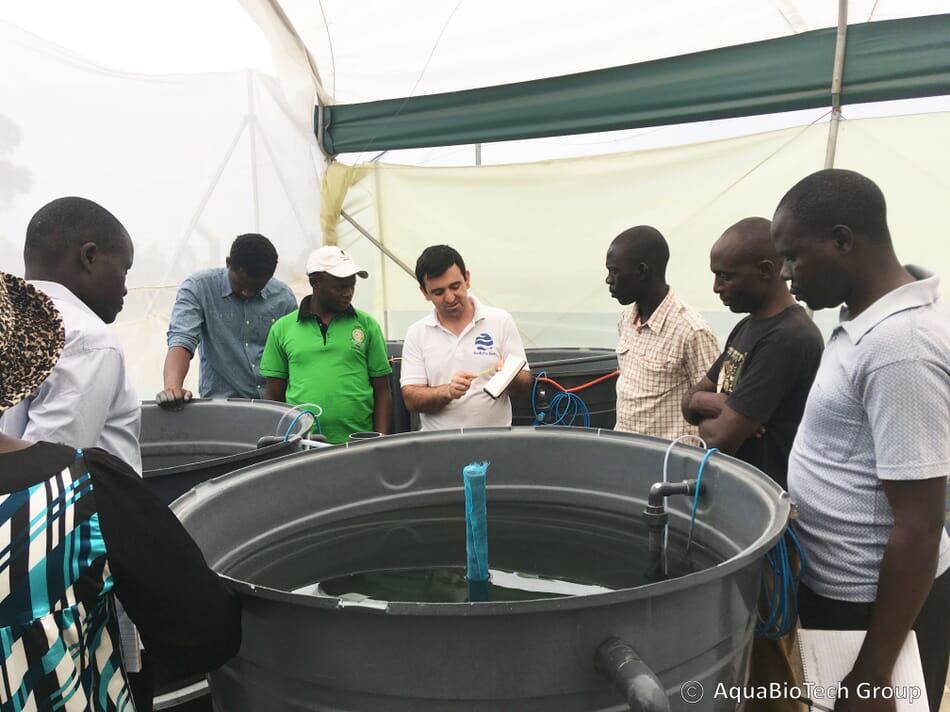 How RAS farming can alleviate environmental pressure in East Africa ...