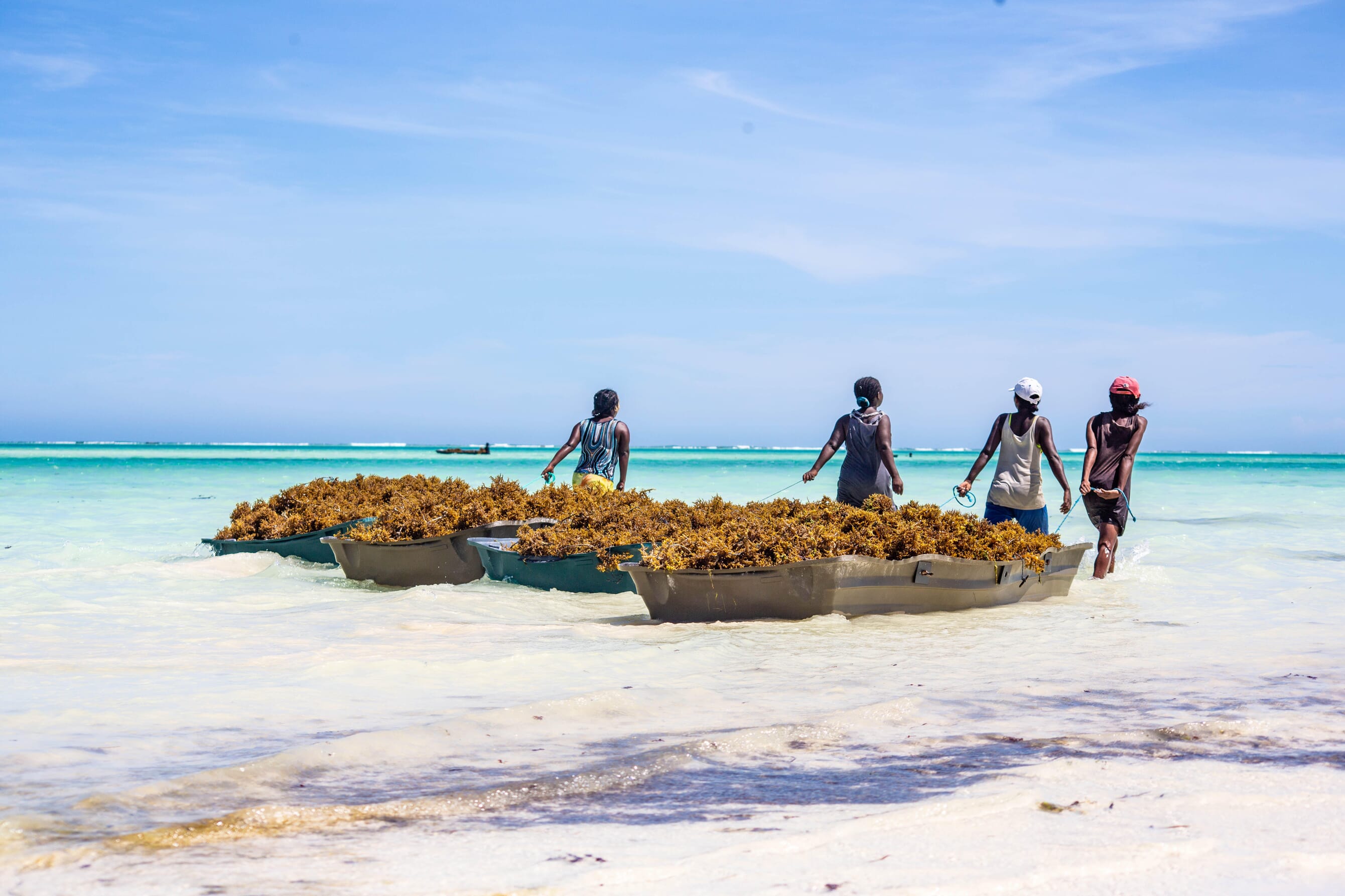 Helping smallholders make Madagascar a seaweed farming superpower | The ...
