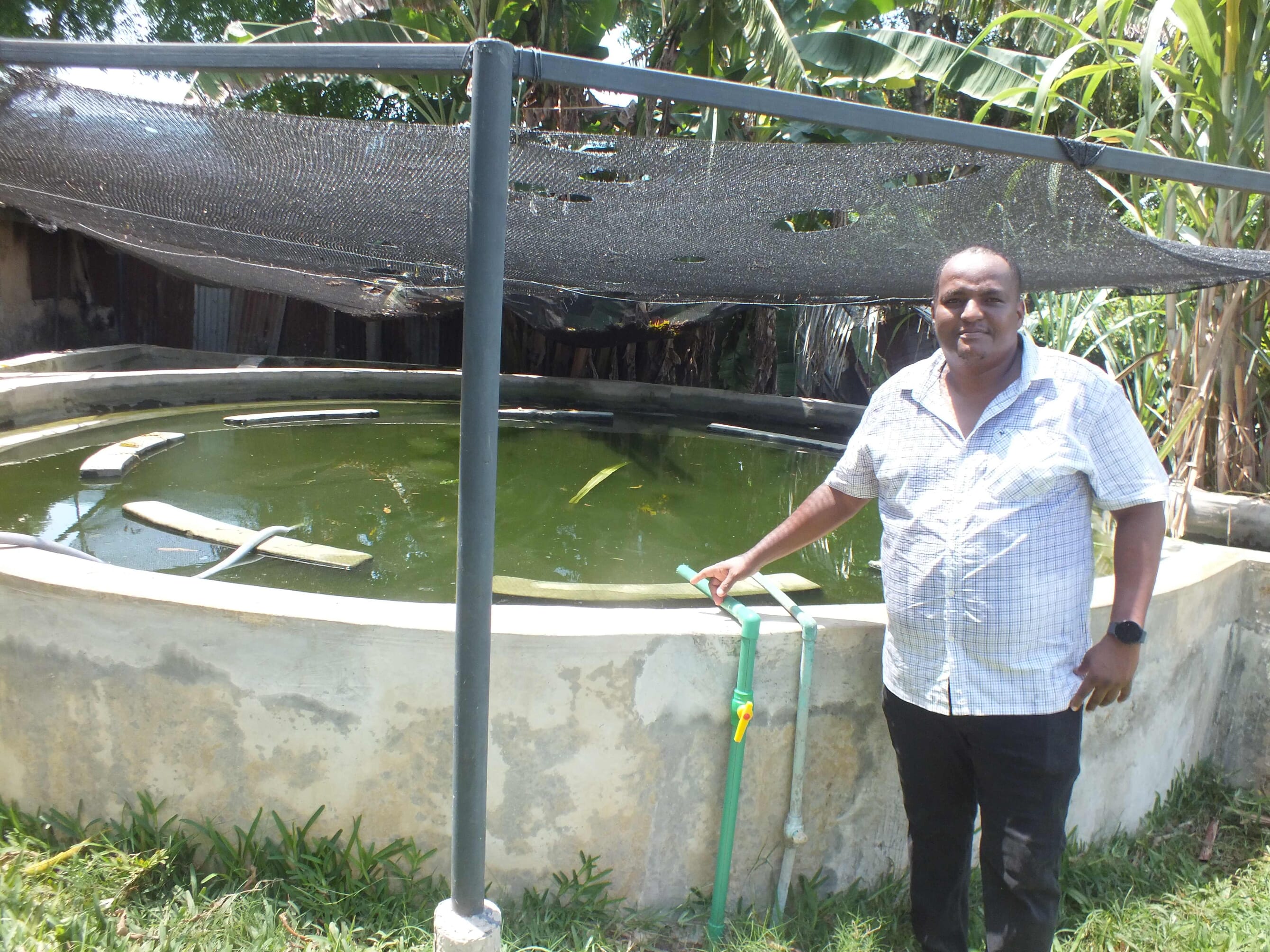 How a Kenyan business administration graduate ventured into aquaculture ...