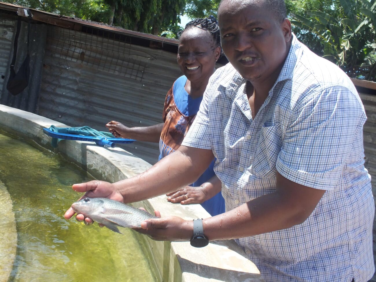 How a Kenyan business administration graduate ventured into aquaculture ...