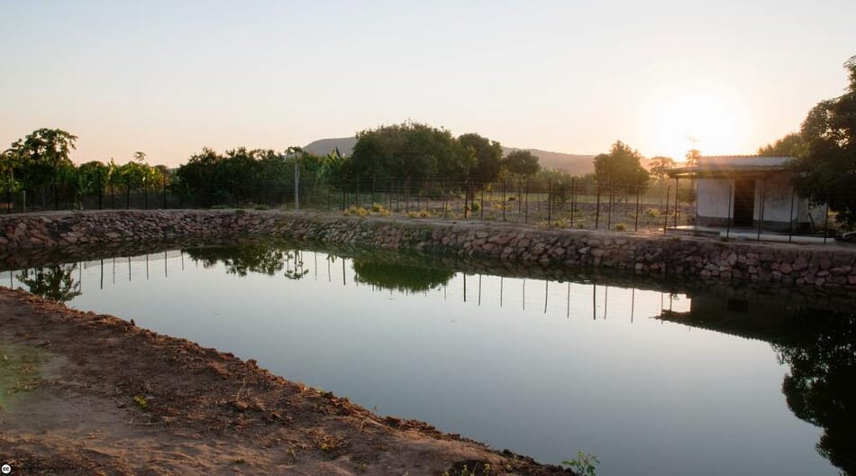 Unlocking Zimbabwe’s pond aquaculture potential | The Fish Site