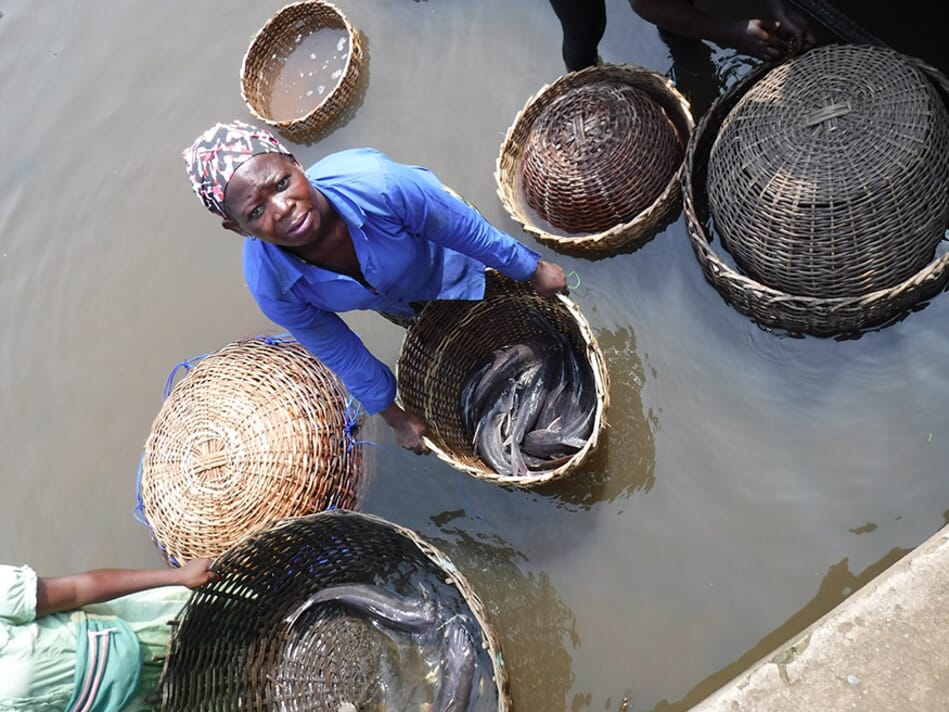 Seafood and Gender Equality project lands significant multi-year ...