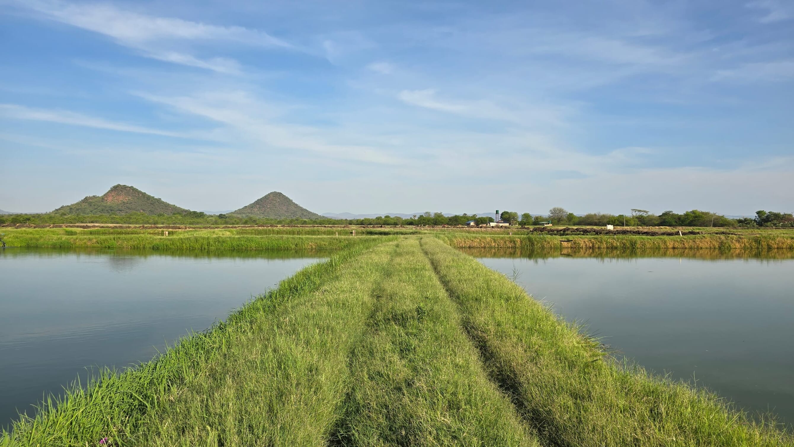 Marc de Laminne, Luangwa Bream Farm, Zambia | The Fish Site