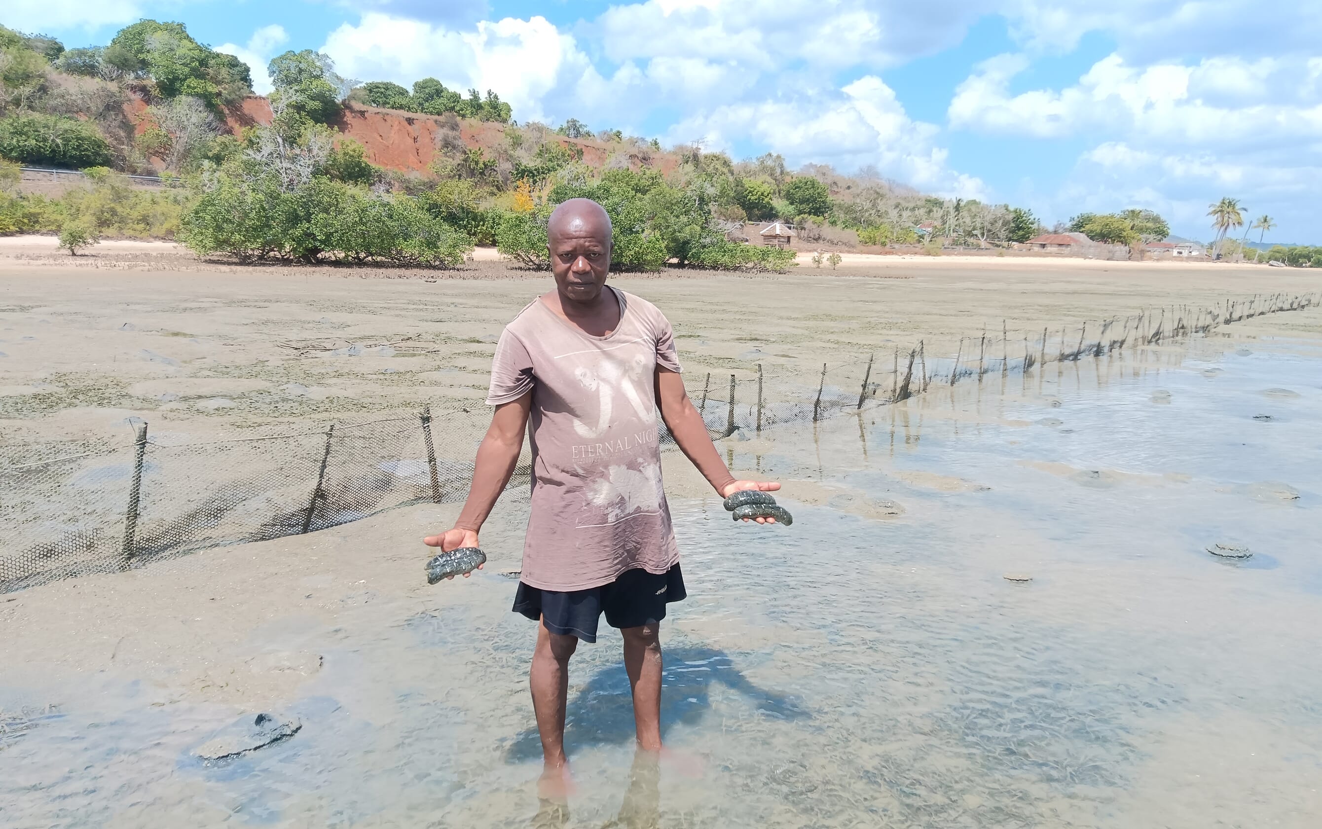 Sea cucumbers: southern Tanzania’s marine gold | The Fish Site