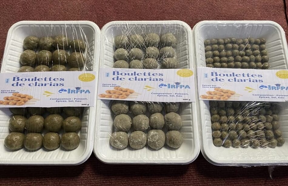 From France to Thiès: one man’s mission to reshape aquaculture in ...