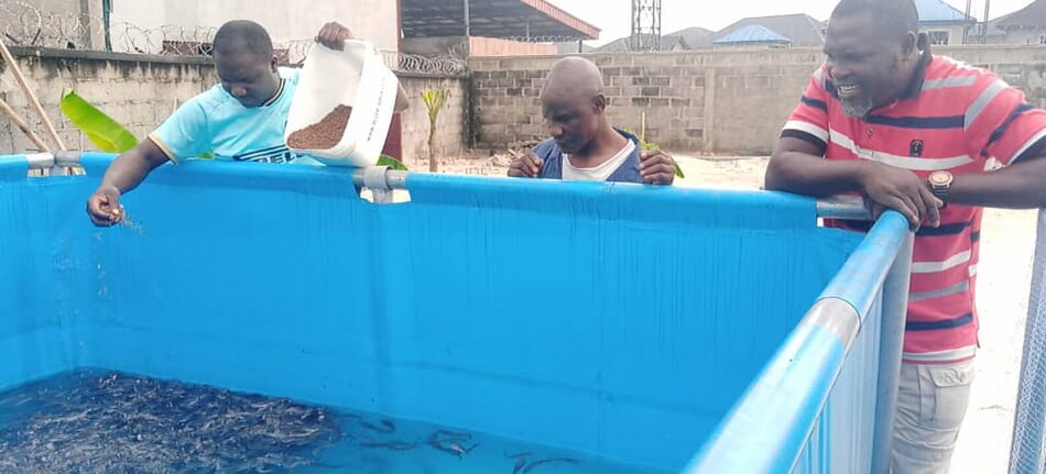 Meet the farmer: Israel "Dr Fish" Yusuf | The Fish Site