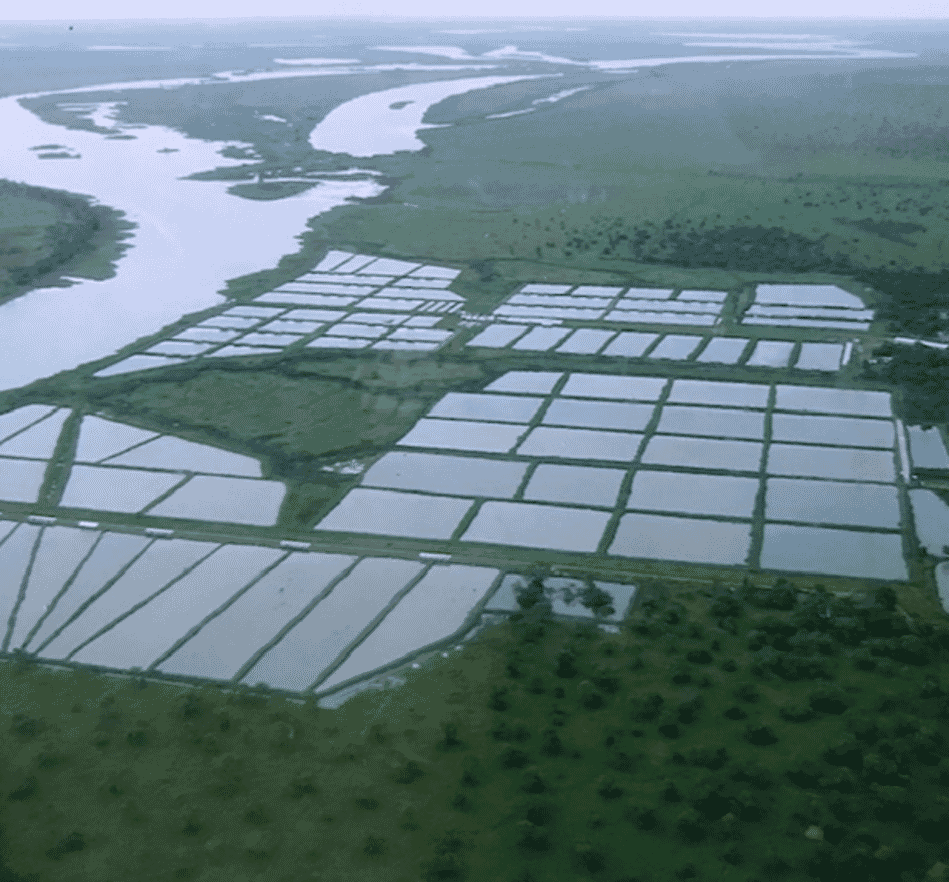 Pioneers of African aquaculture: Fergus Flynn | The Fish Site