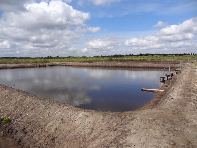 Empowering Kenyan communities through aquaculture | The Fish Site