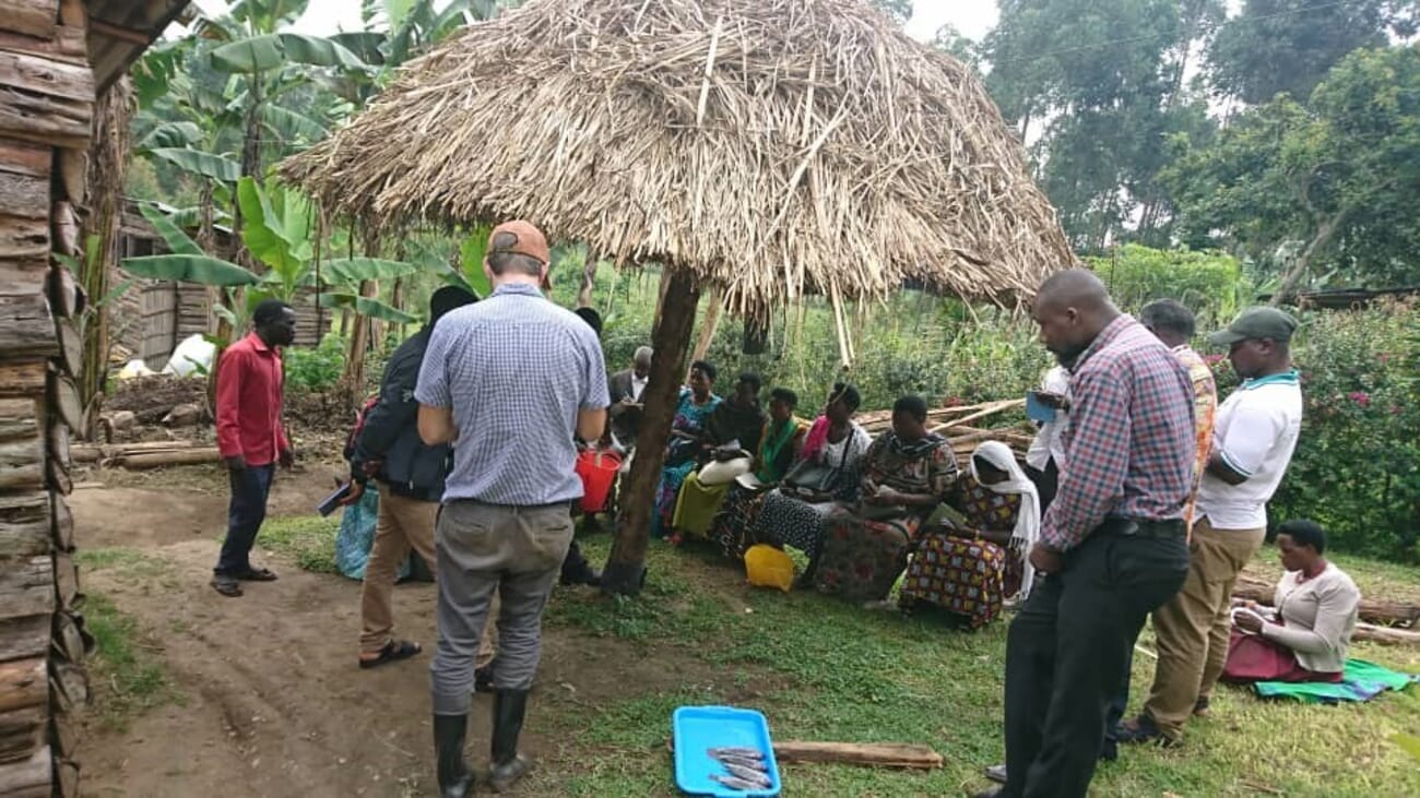 Flagship farm brings new business model to Uganda’s tilapia sector ...