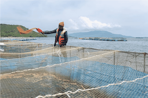 Africa’s most ambitious aquaculture producer: ensuring future success ...