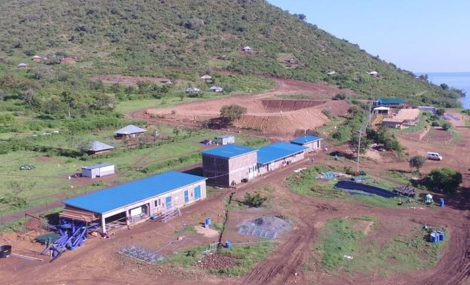 Africa’s most ambitious aquaculture producer: the story so far | The ...