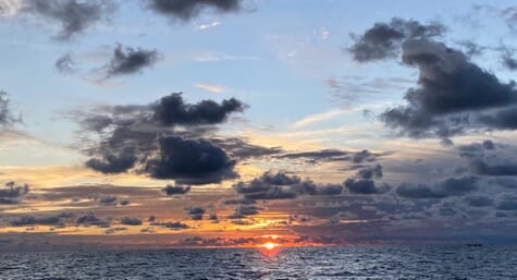 Africa’s most ambitious aquaculture producer: the story so far | The ...