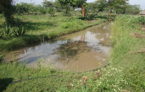 How fish farming is combatting Kenya’s “sex-for-fish” trade | The Fish Site