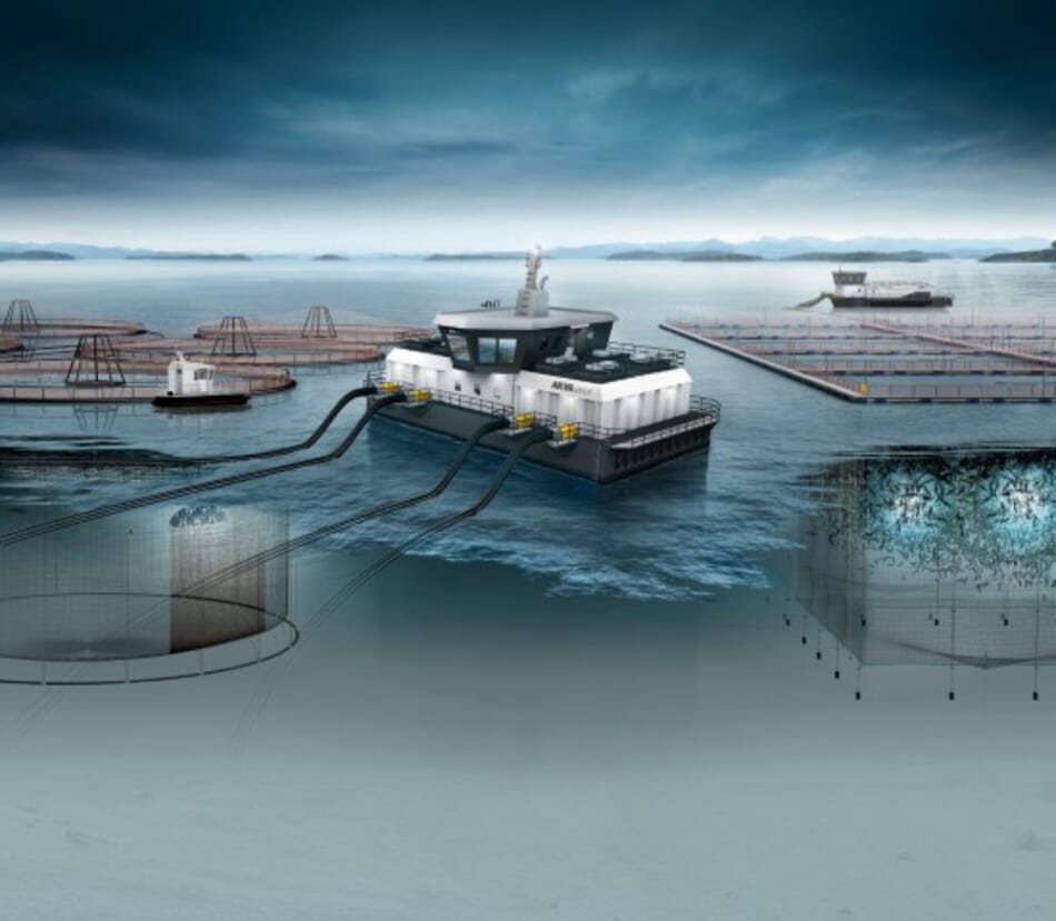 Job opportunity at Akva | The Fish Site