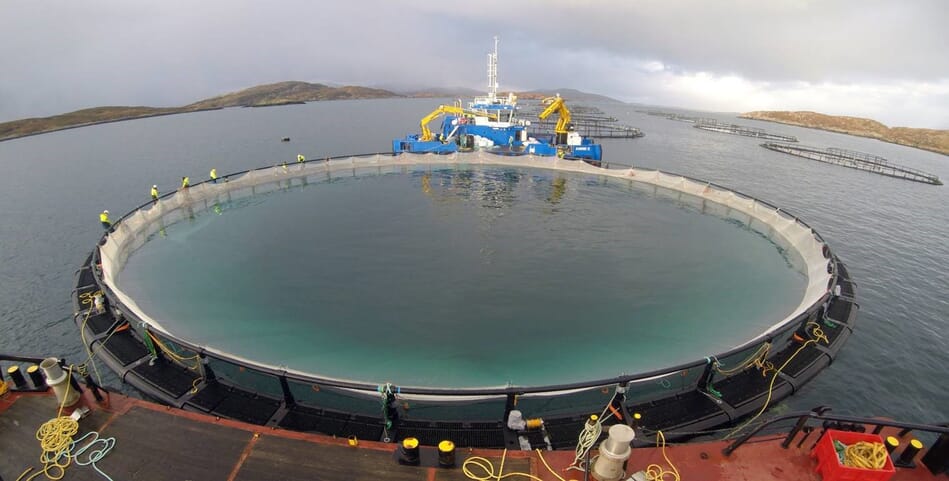 The AKVA factor | The Fish Site