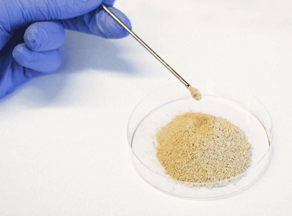Swedes to produce novel aquafeed ingredient from paper by-products ...