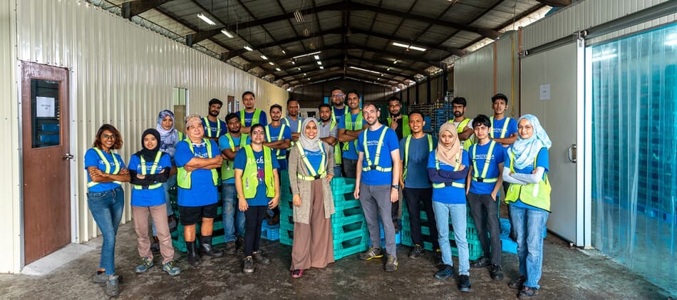 Protenga set to expand insect business with new investment | The Fish Site