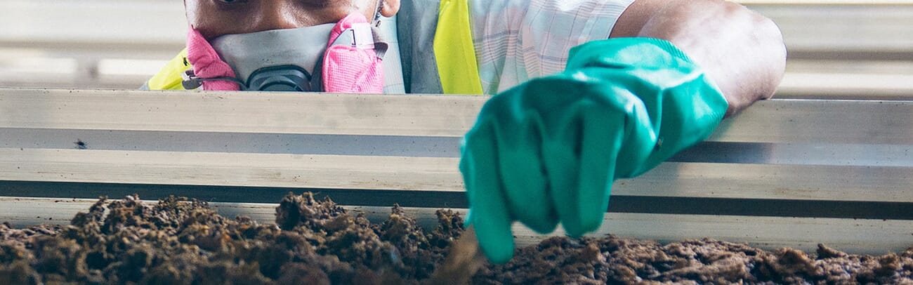 Insect Engineers to launch online fly farming community | The Fish Site