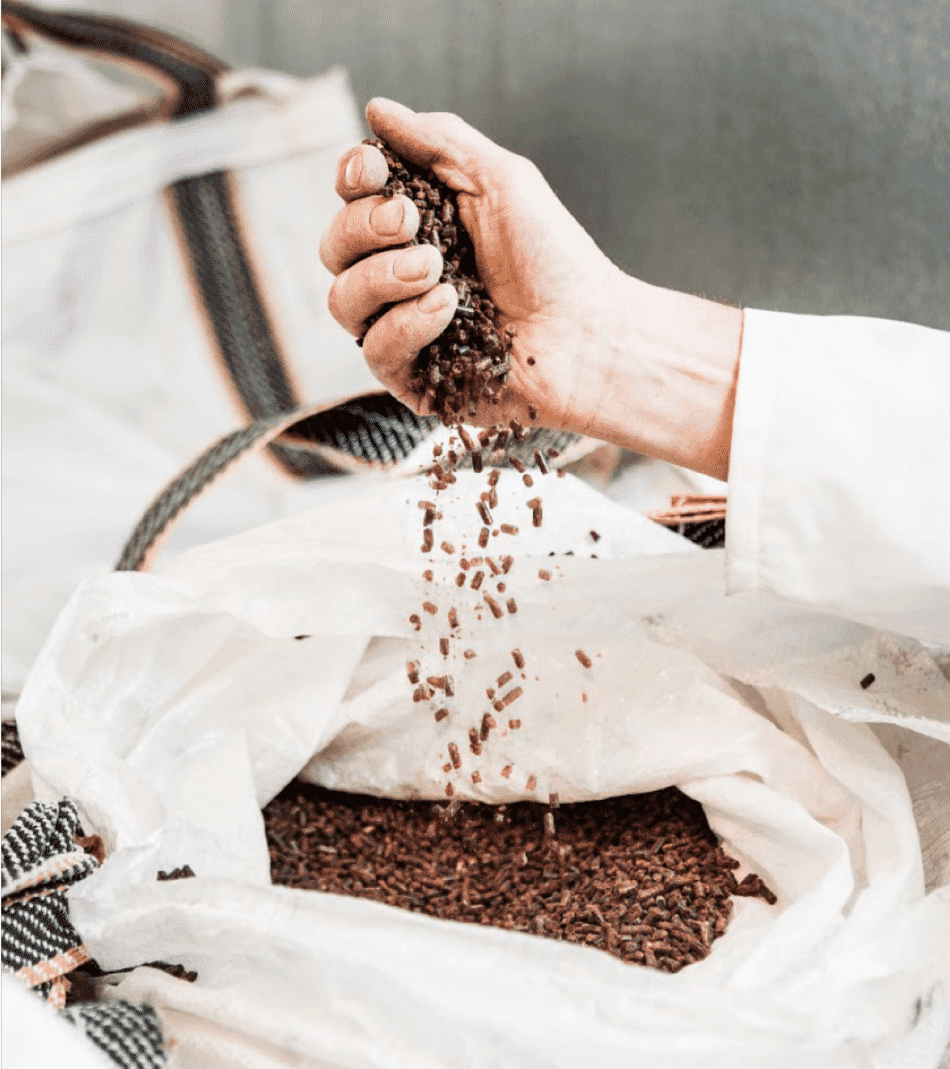 Lissy Smit | The Fish Site