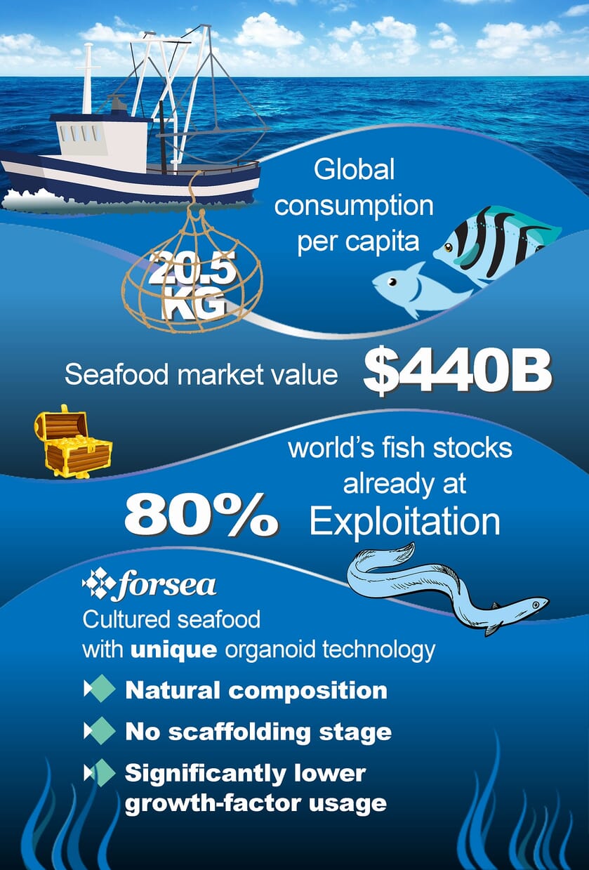Cultivated seafood startup Forsea attracts $5.2 million in investment ...
