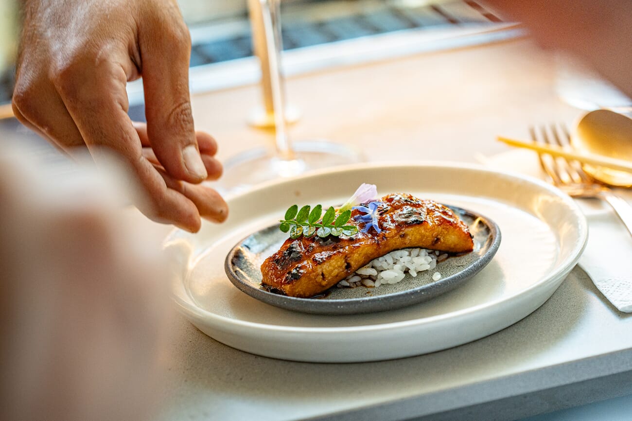 Cell-cultivated eel goes public in Tel Aviv | The Fish Site