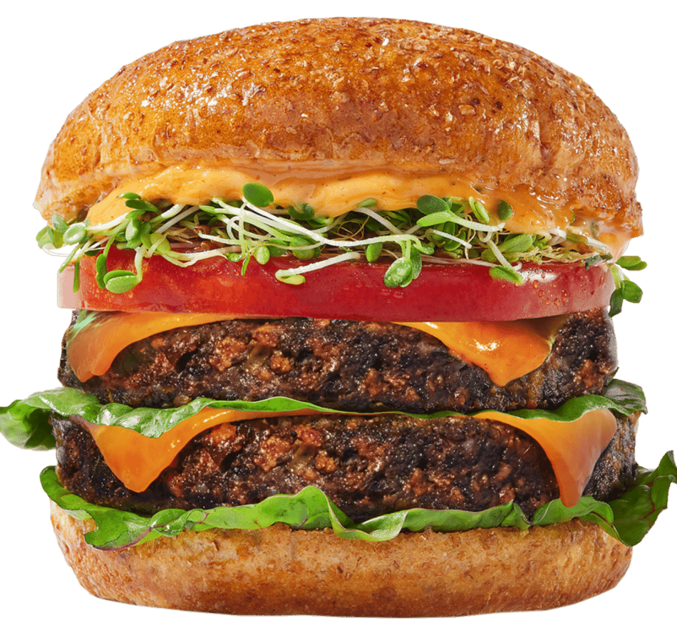 Kelp burger startup raises $3.2 million seed funding | The Fish Site