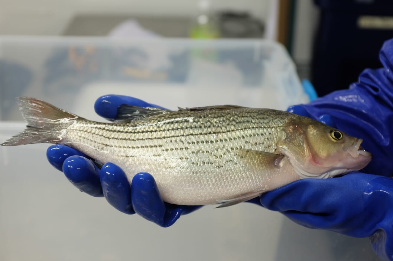 Upward Farms announces plans for world's largest indoor vertical farm ...