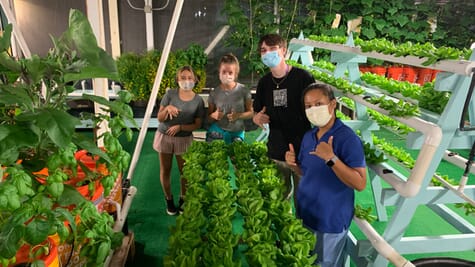 Maui College expands its aquaponics training | The Fish Site