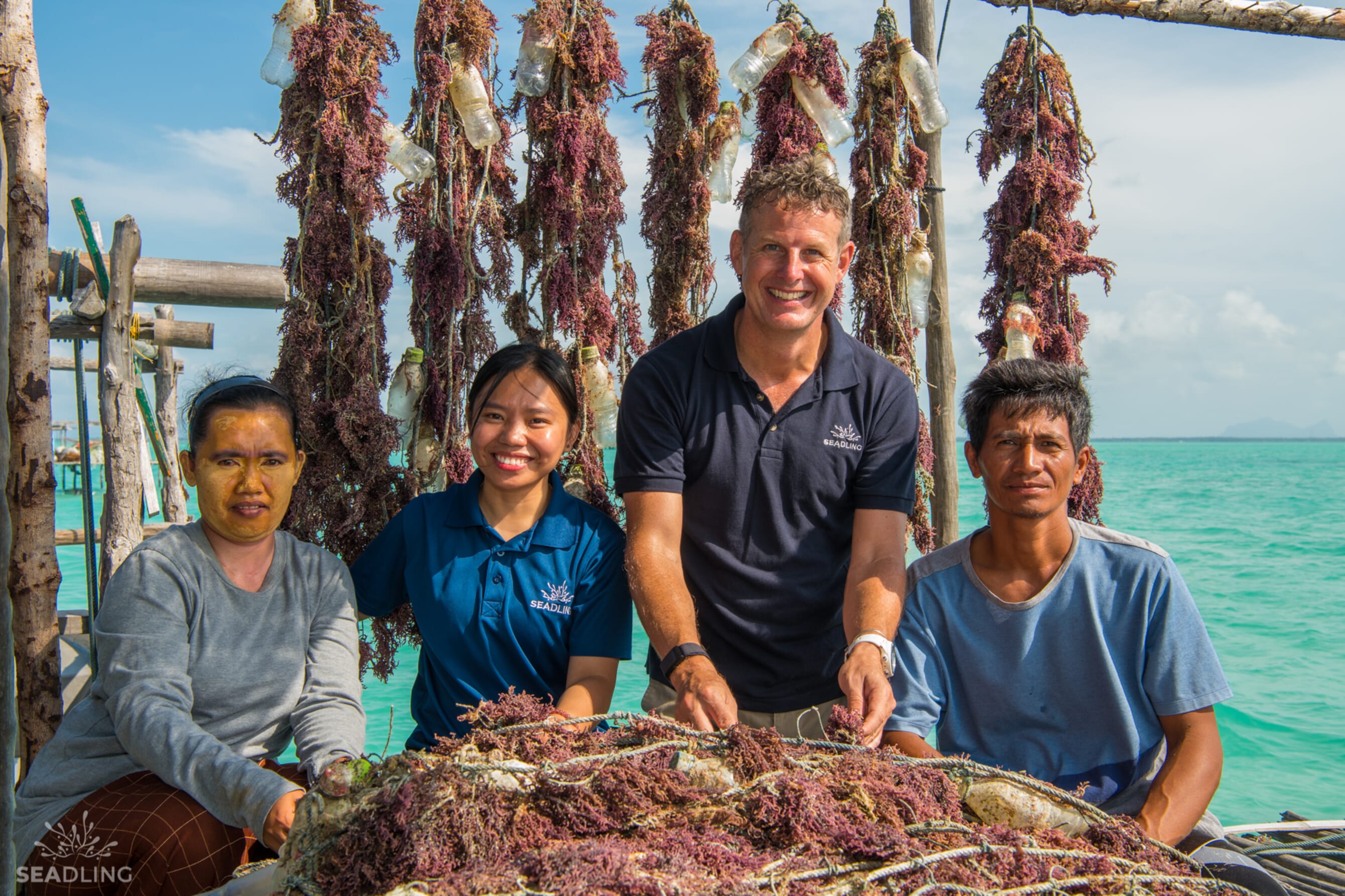 How small-scale seaweed farmers can have a huge impact | The Fish Site